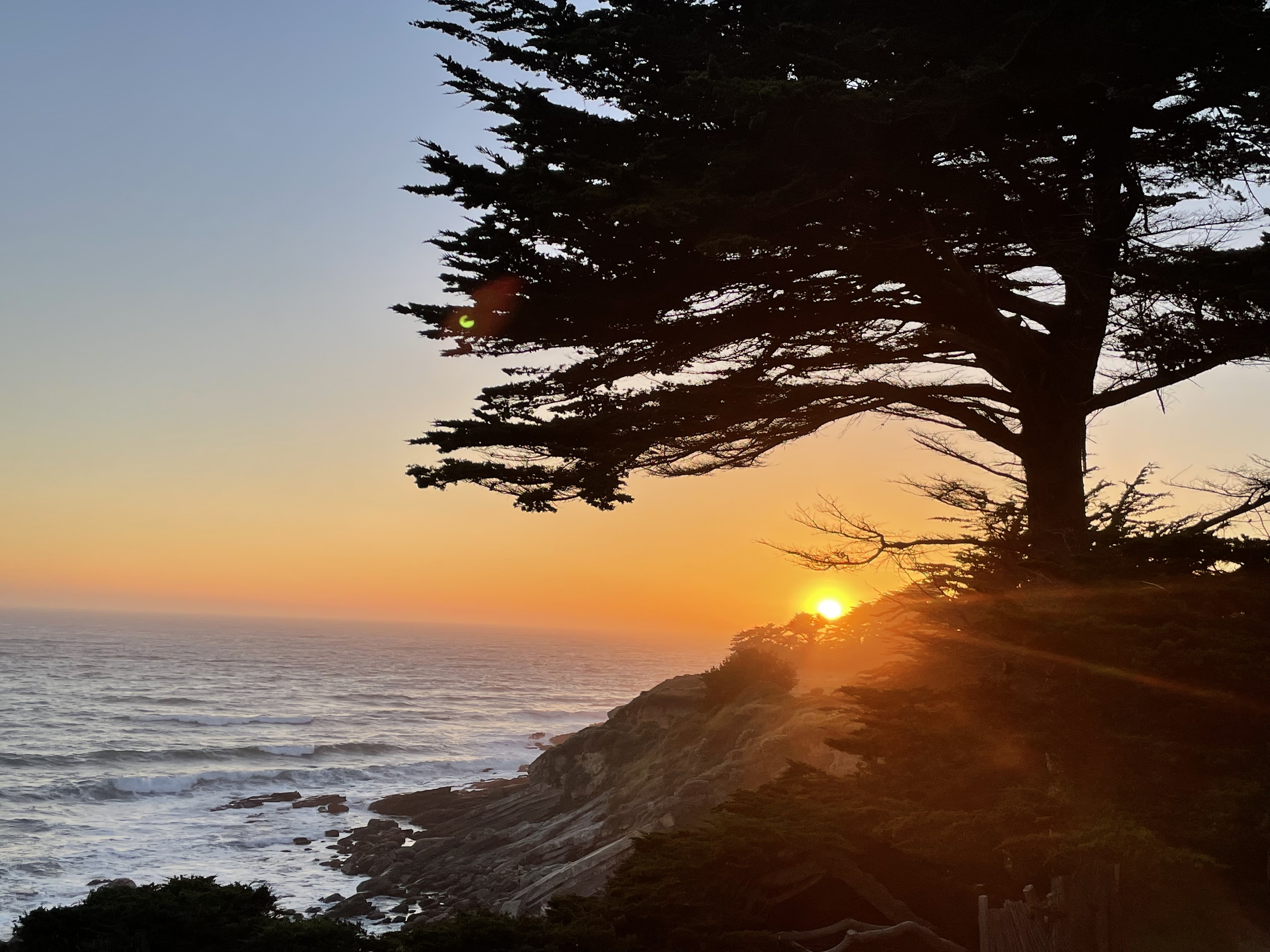 Working with Dreams – Life Transition Counseling